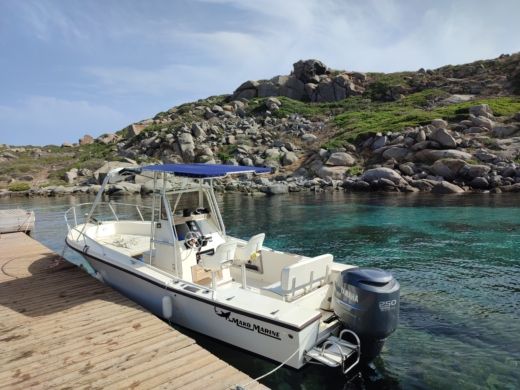Charter Makò Marine Makò 231 Motorboat (1986) in Villasimius - Nautal